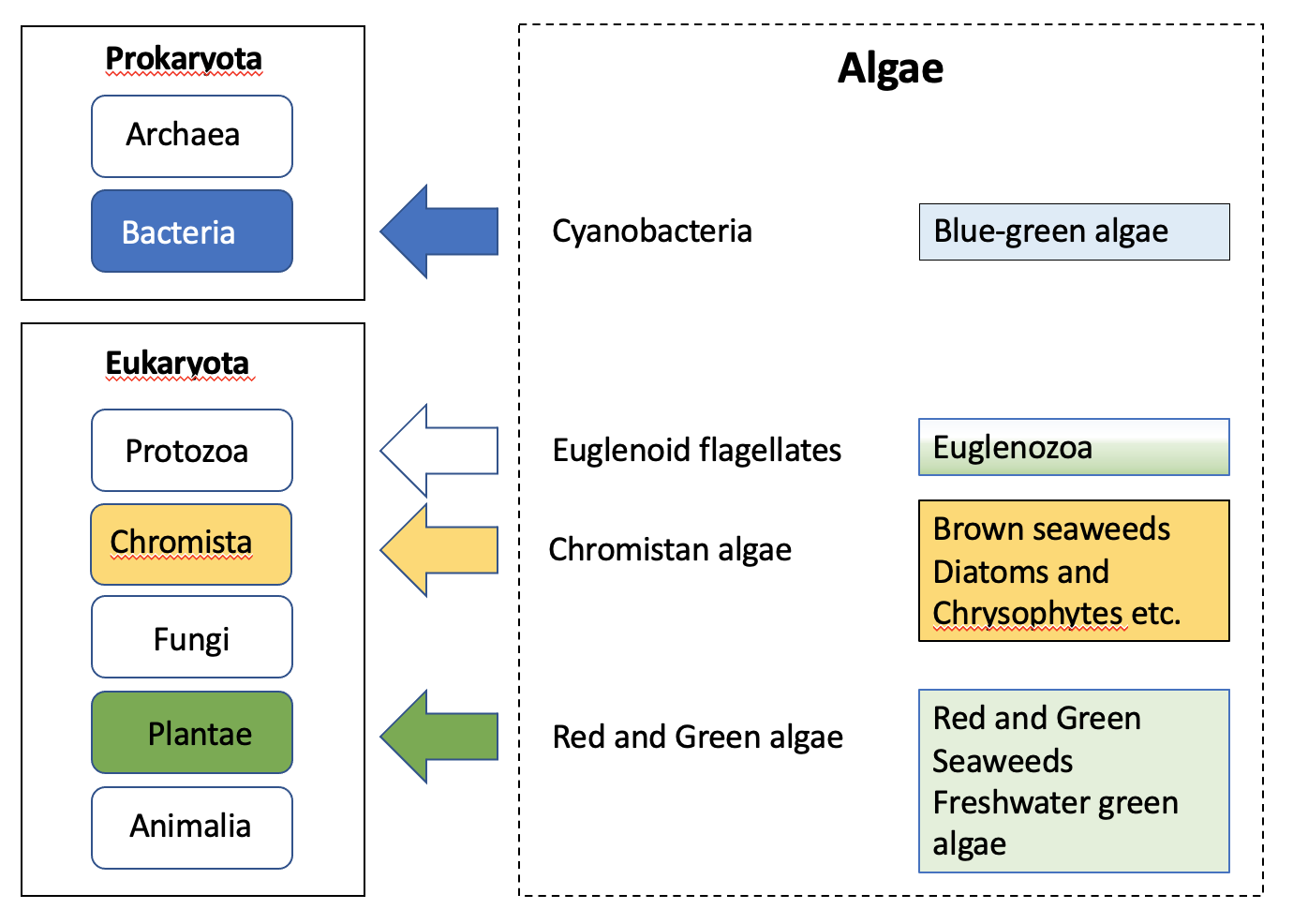 Cumulativo Presuntuoso Riconciliare Algae Taxonomy Classification 